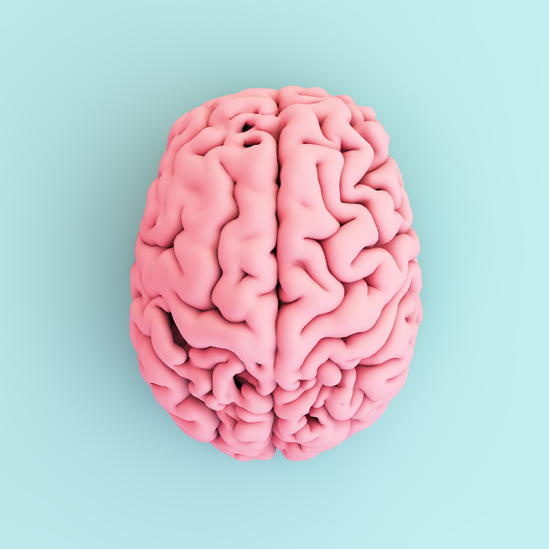 Bilingualism Matters