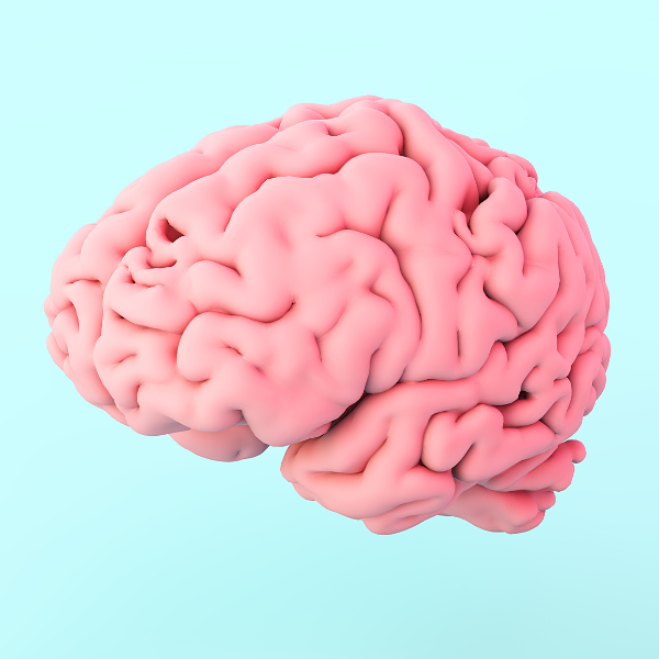 Bilingualism Matters