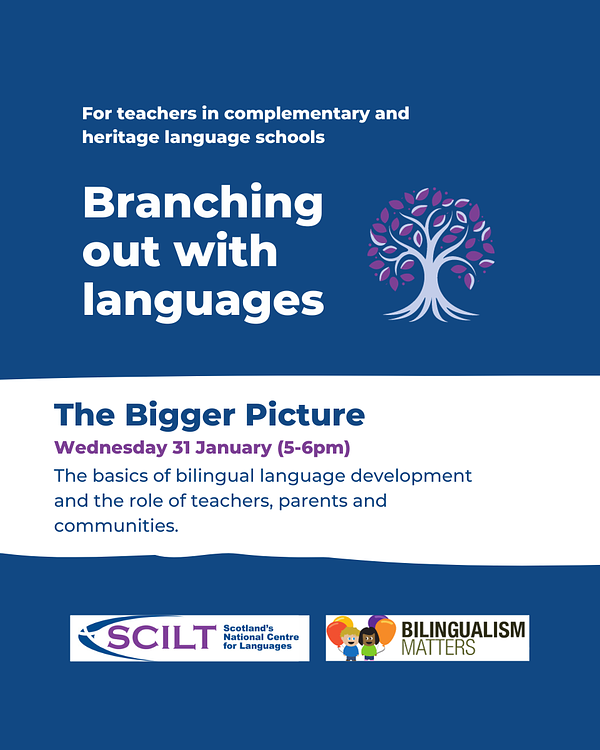 The Bigger Picture - Bilingualism Matters